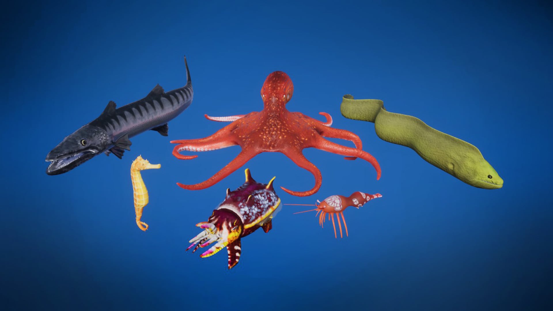 Sea Creatures Pack in Characters - UE Marketplace