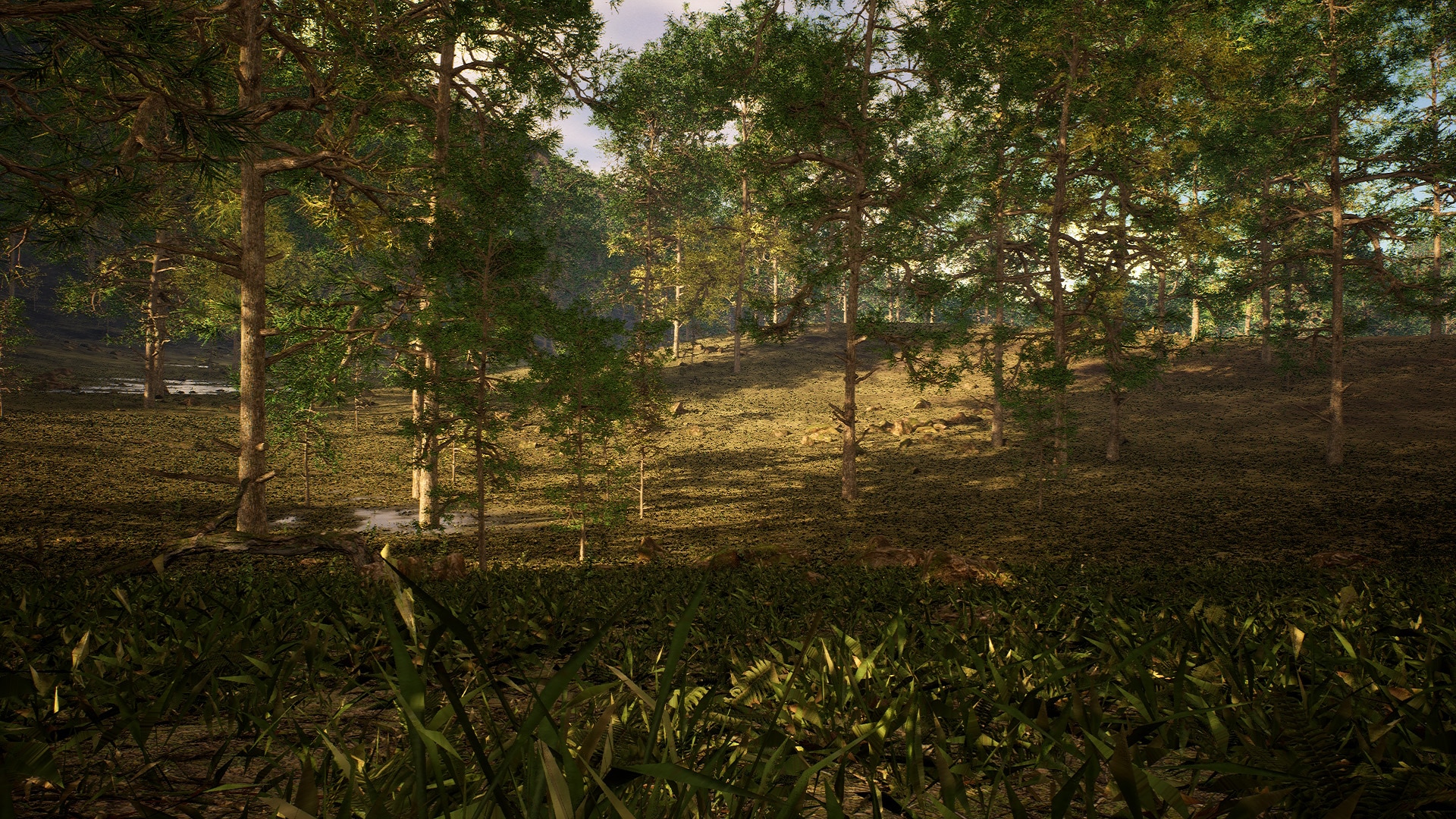 Pine Forest Biome (WIP) in Environments - UE Marketplace