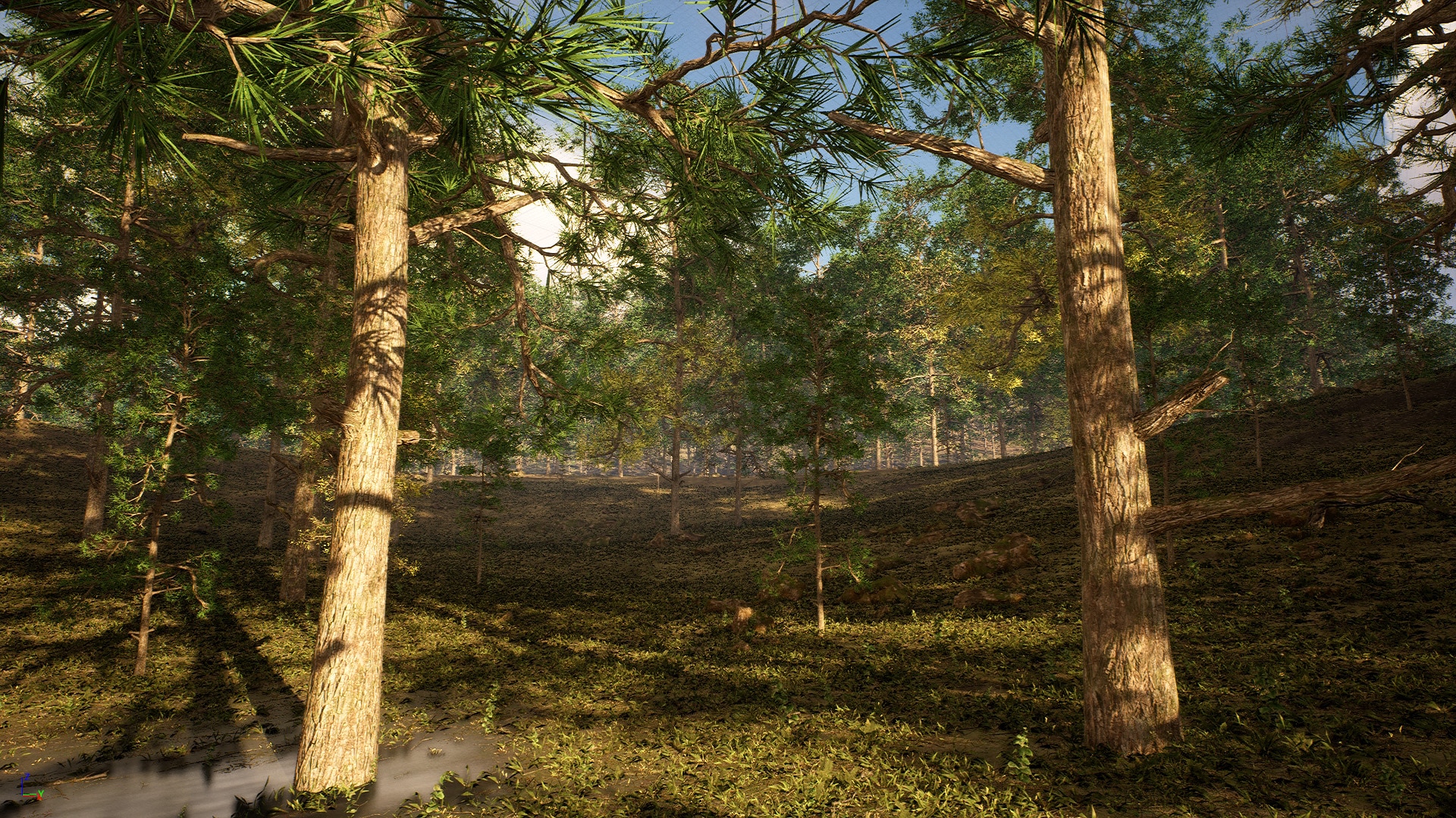 Pine Forest Biome (WIP) in Environments - UE Marketplace