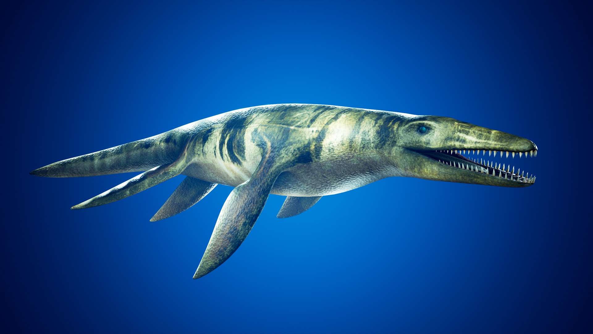 Dinosaur - Pliosaur, 카테고리 캐릭터 - UE 마켓플레이스