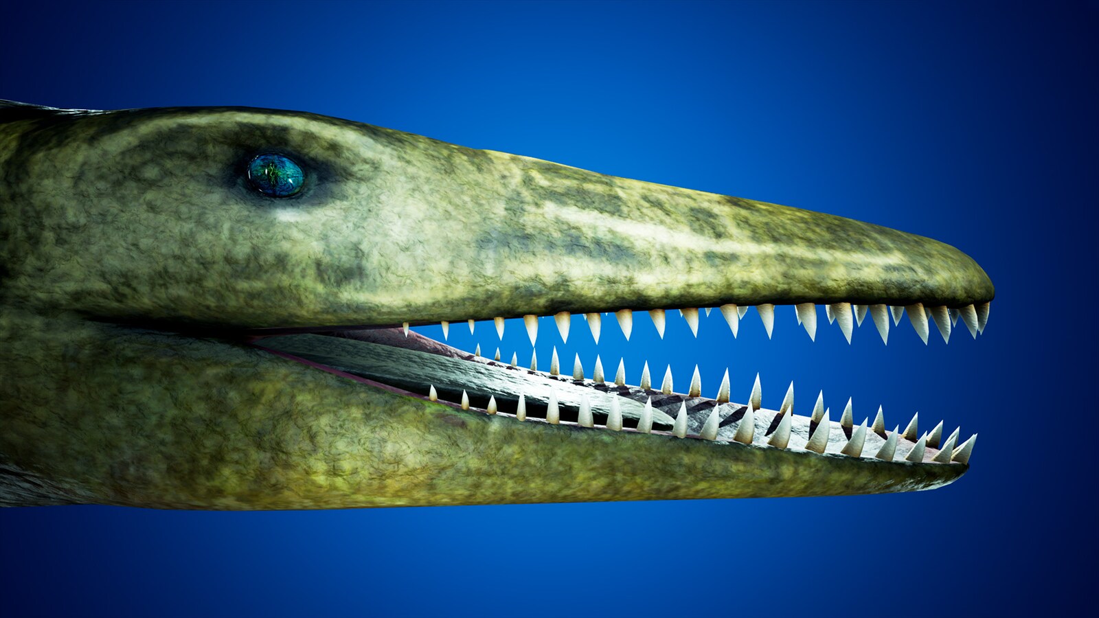 Ocean Pliosaur Pack in Characters - UE Marketplace