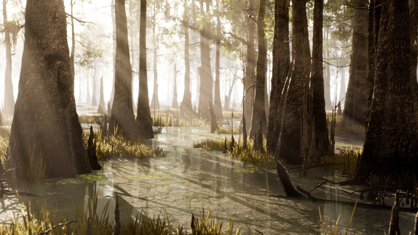 Bald Cypress Swamp in Environments - UE Marketplace