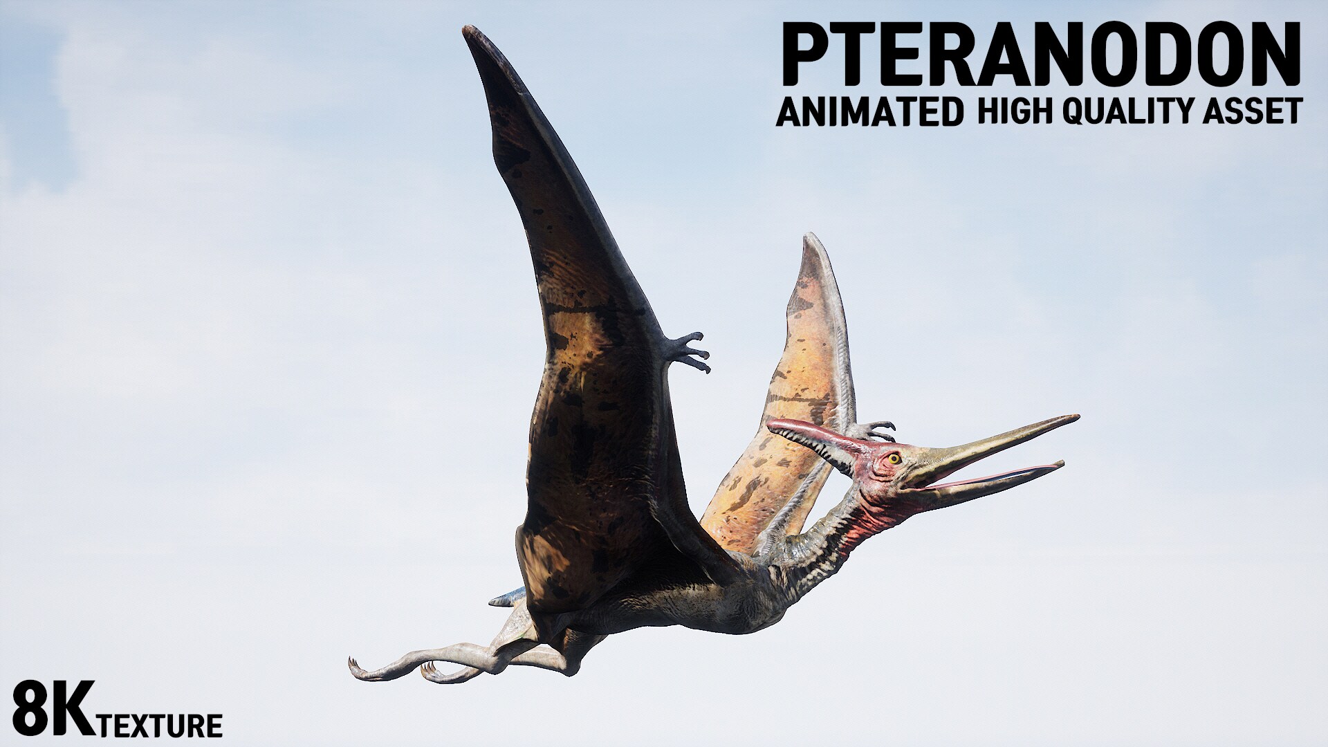 Pteranodon Rigged Animated 3D model in Characters - UE Marketplace