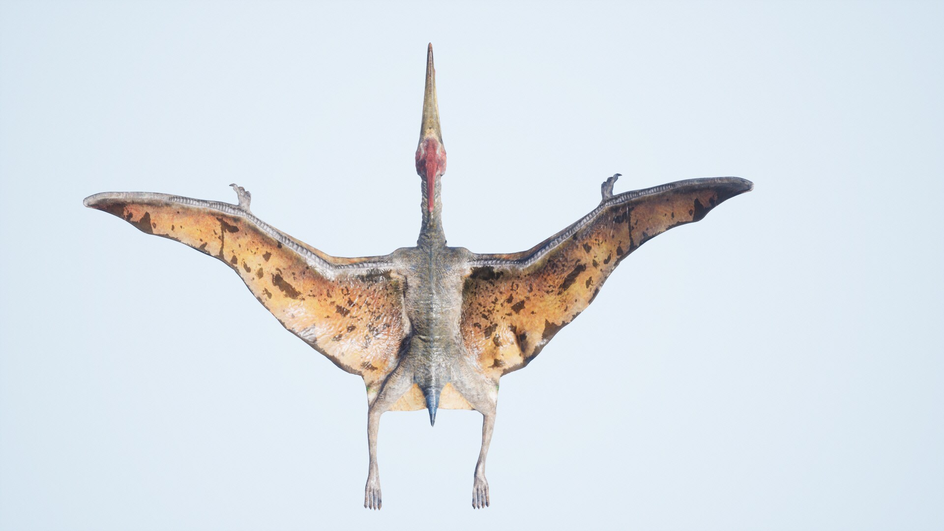 Pteranodon Rigged Animated 3D model in Characters - UE Marketplace