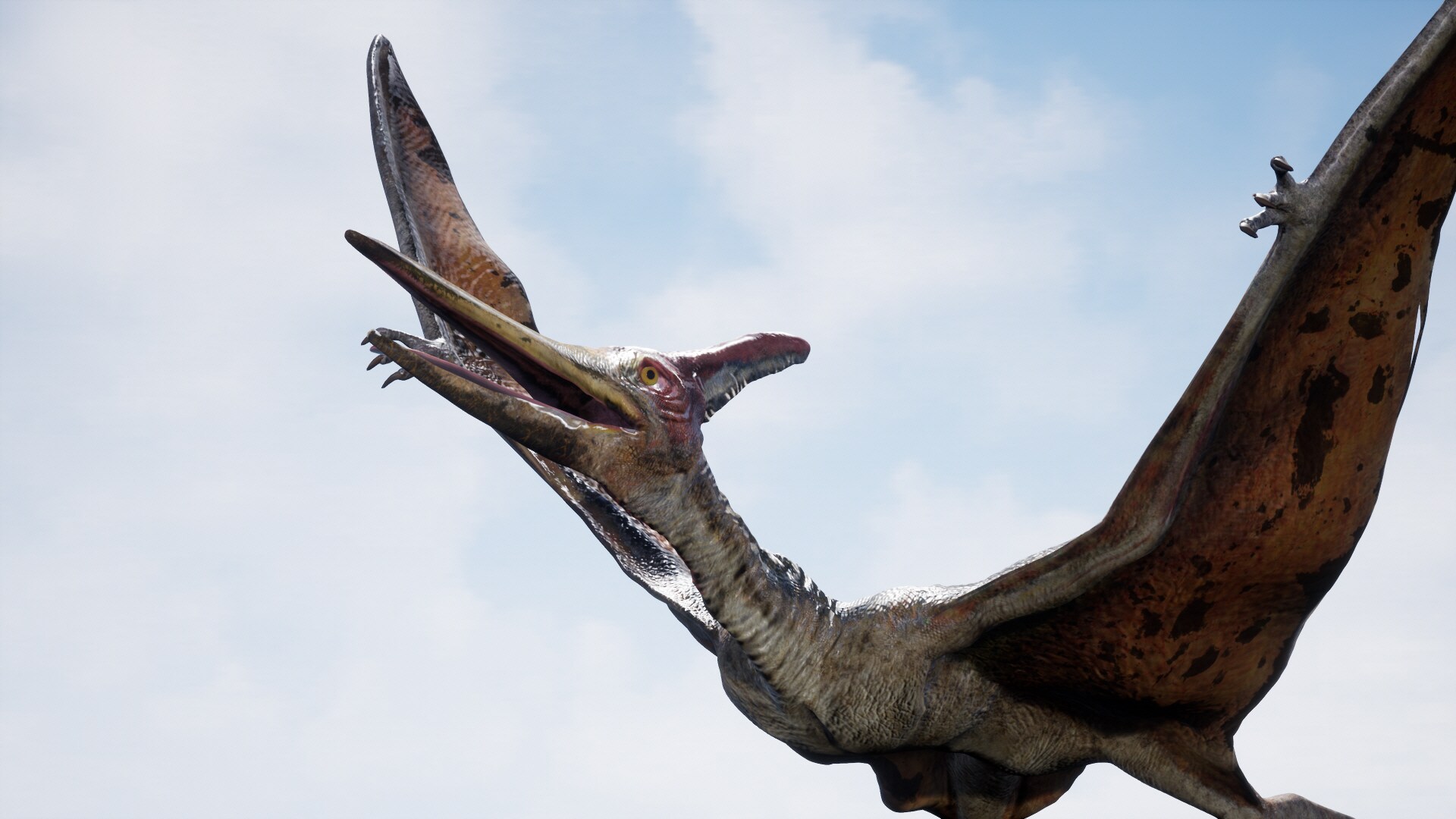 Pteranodon Rigged Animated 3D model in Characters - UE Marketplace