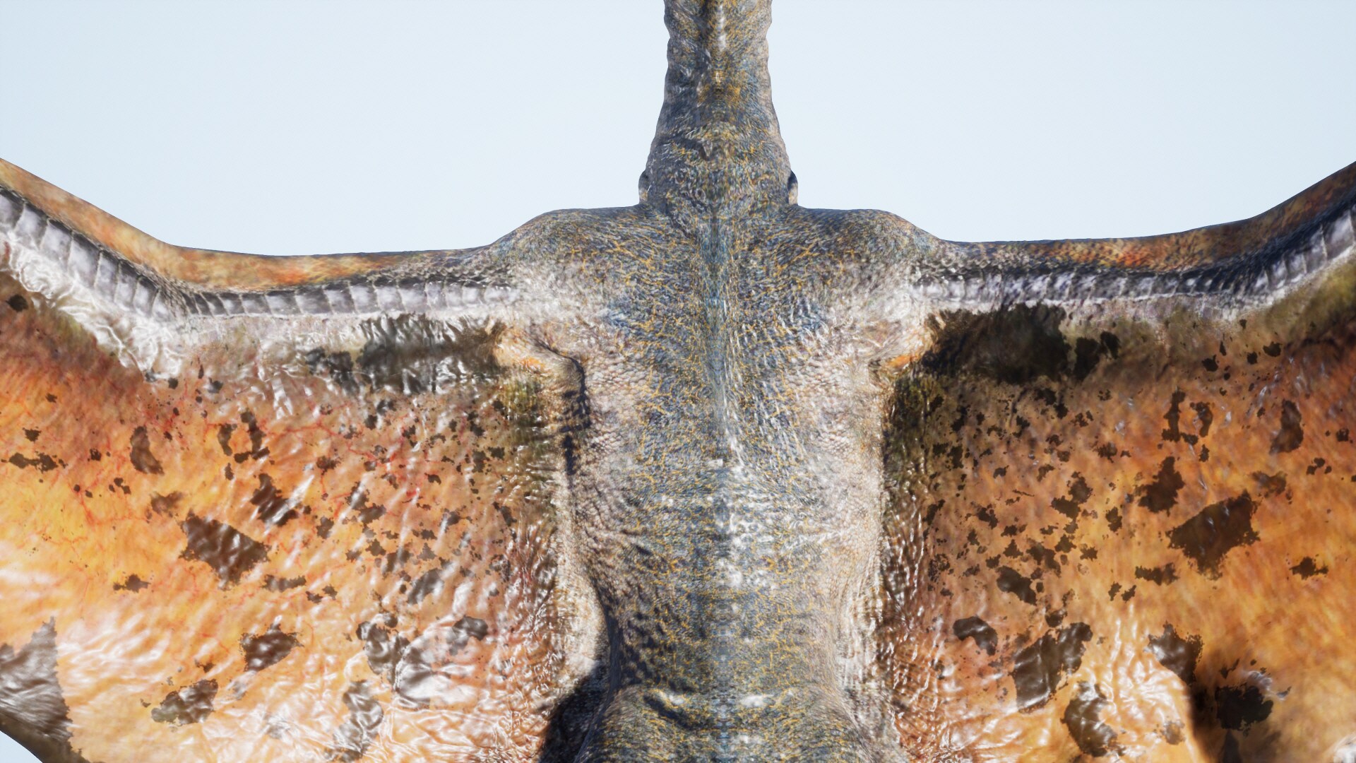 Pteranodon Rigged Animated 3D model in Characters - UE Marketplace