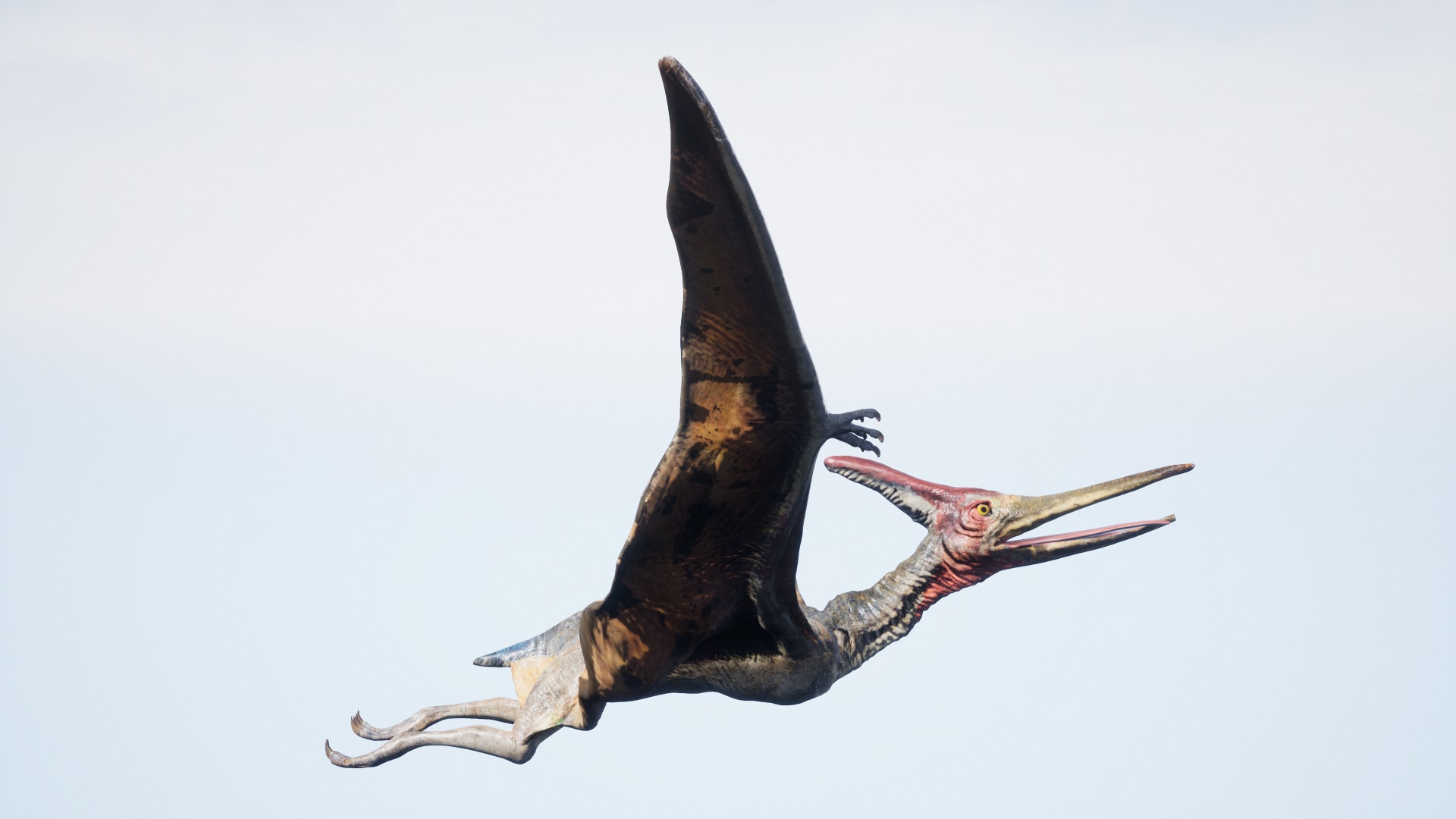 Pteranodon Rigged Animated 3D model in Characters - UE Marketplace