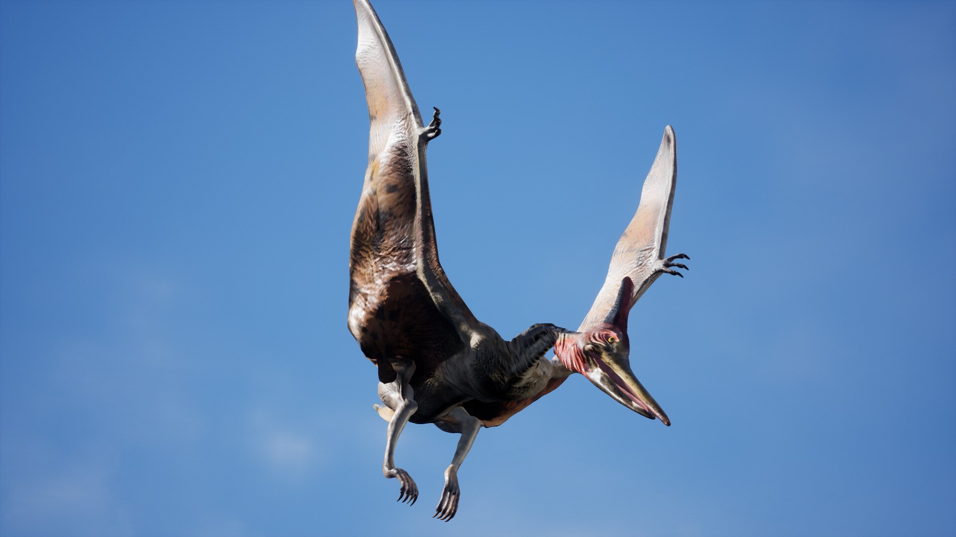 Pteranodon Rigged Animated 3D model in Characters - UE Marketplace