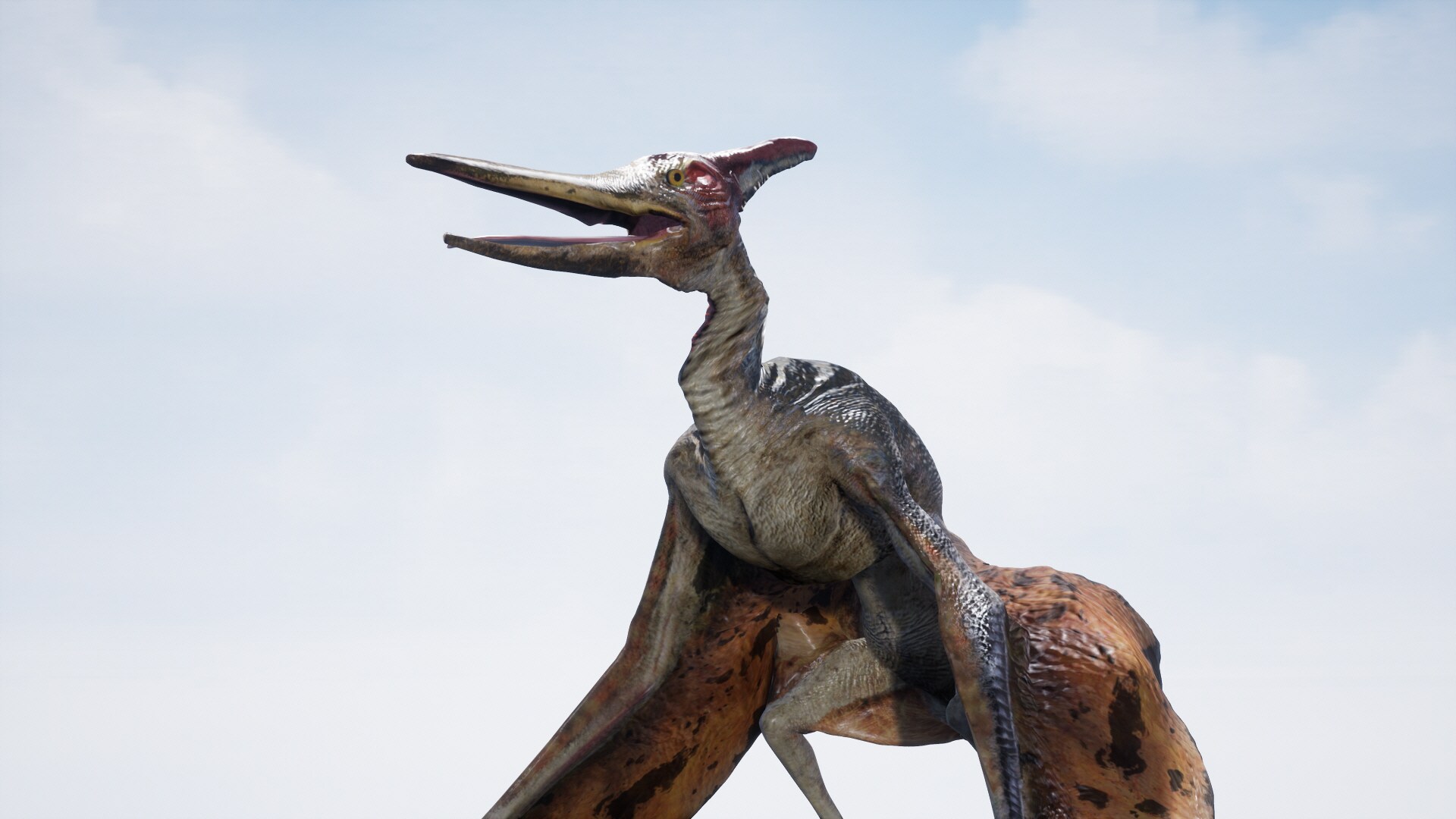 Pteranodon Rigged Animated 3D model in Characters - UE Marketplace