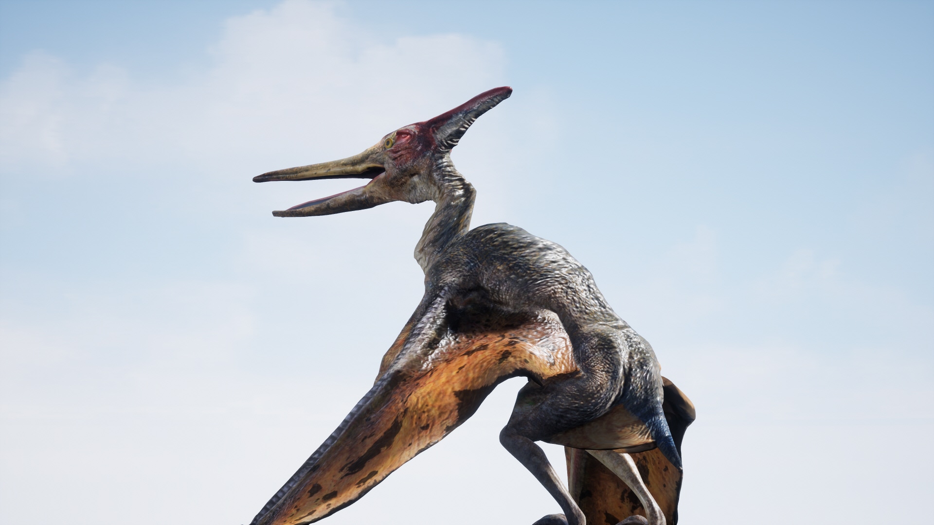 Pteranodon Rigged Animated 3D model in Characters - UE Marketplace