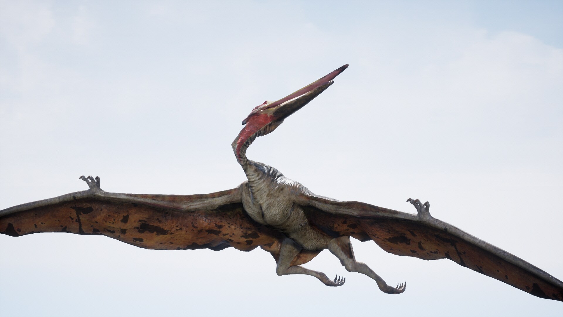 Pteranodon Rigged Animated 3D model in Characters - UE Marketplace