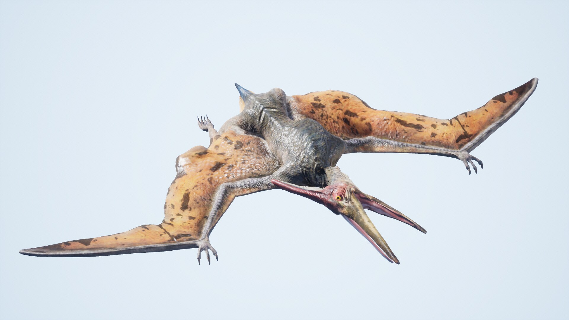 Pteranodon Rigged Animated 3D model in Characters - UE Marketplace