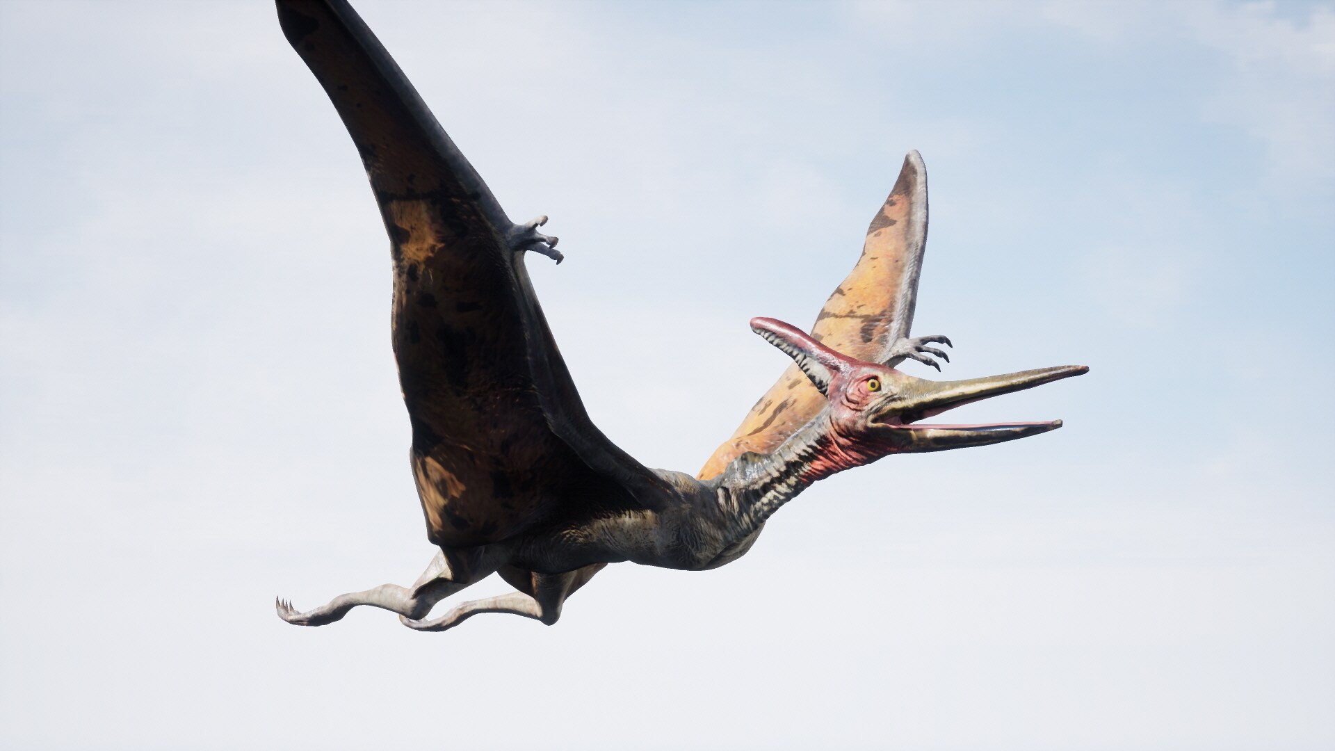 Pteranodon Rigged Animated 3D model in Characters - UE Marketplace