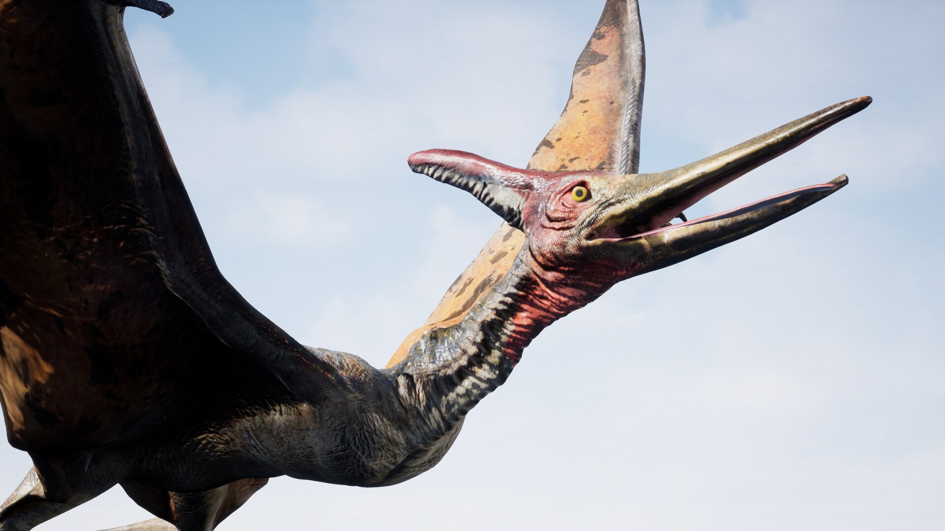Pteranodon Rigged Animated 3D model in Characters - UE Marketplace