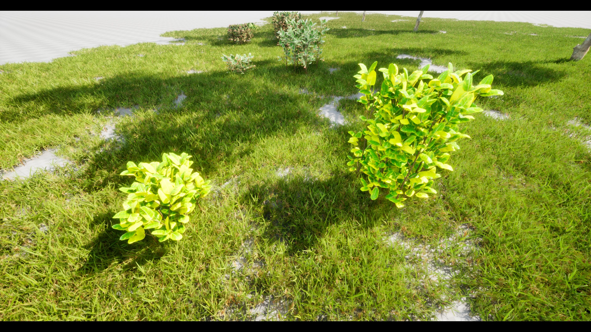 Interactive Bushes Plants (R25) in Props - UE Marketplace