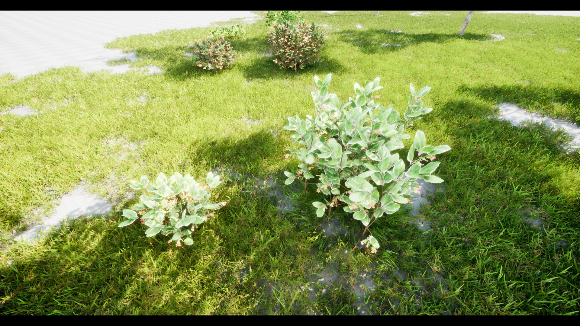 Interactive Bushes Plants (R25) in Props - UE Marketplace