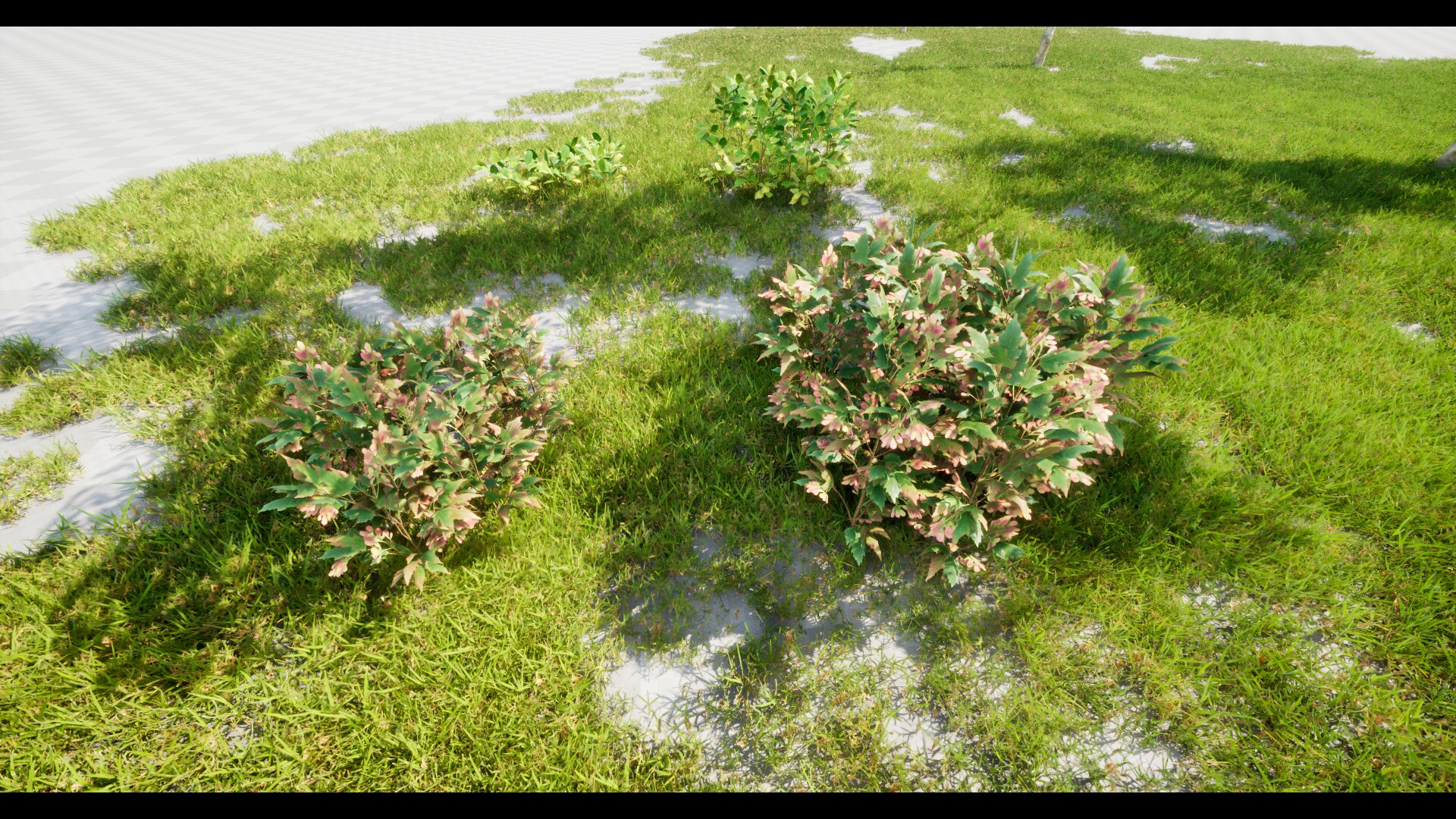 Interactive Bushes Plants (R25) in Props - UE Marketplace