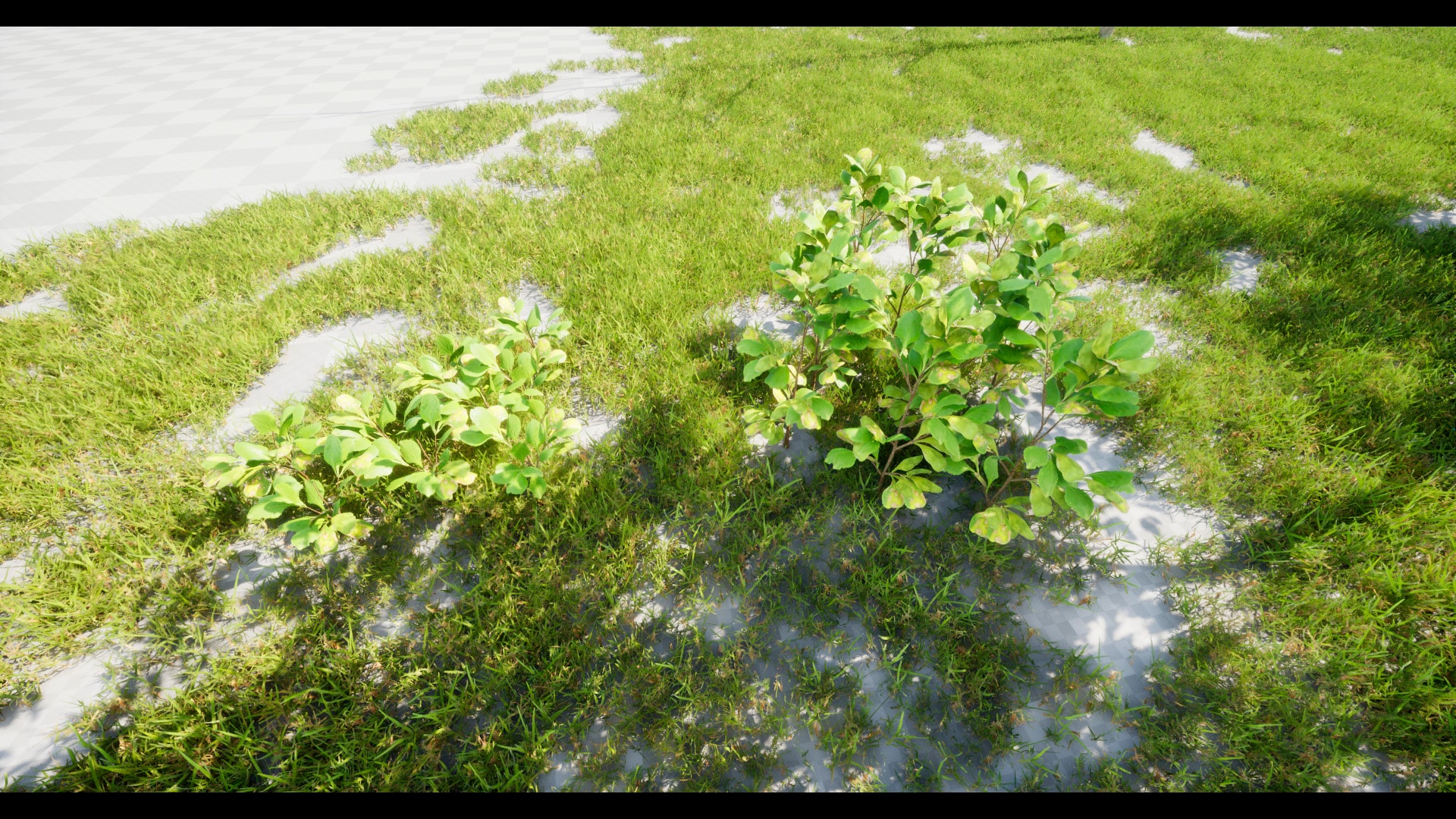 Interactive Bushes Plants (R25) in Props - UE Marketplace
