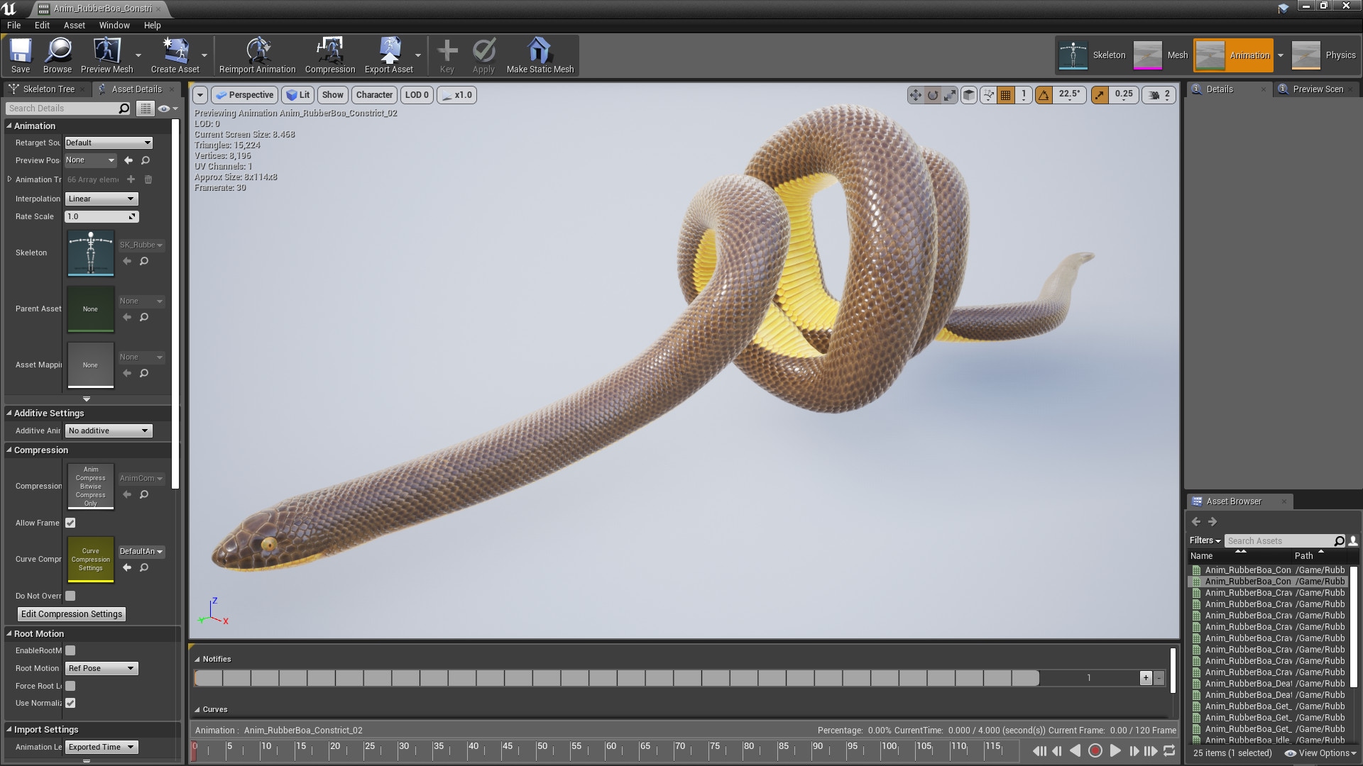 Rubber Boa Snake Skeleton