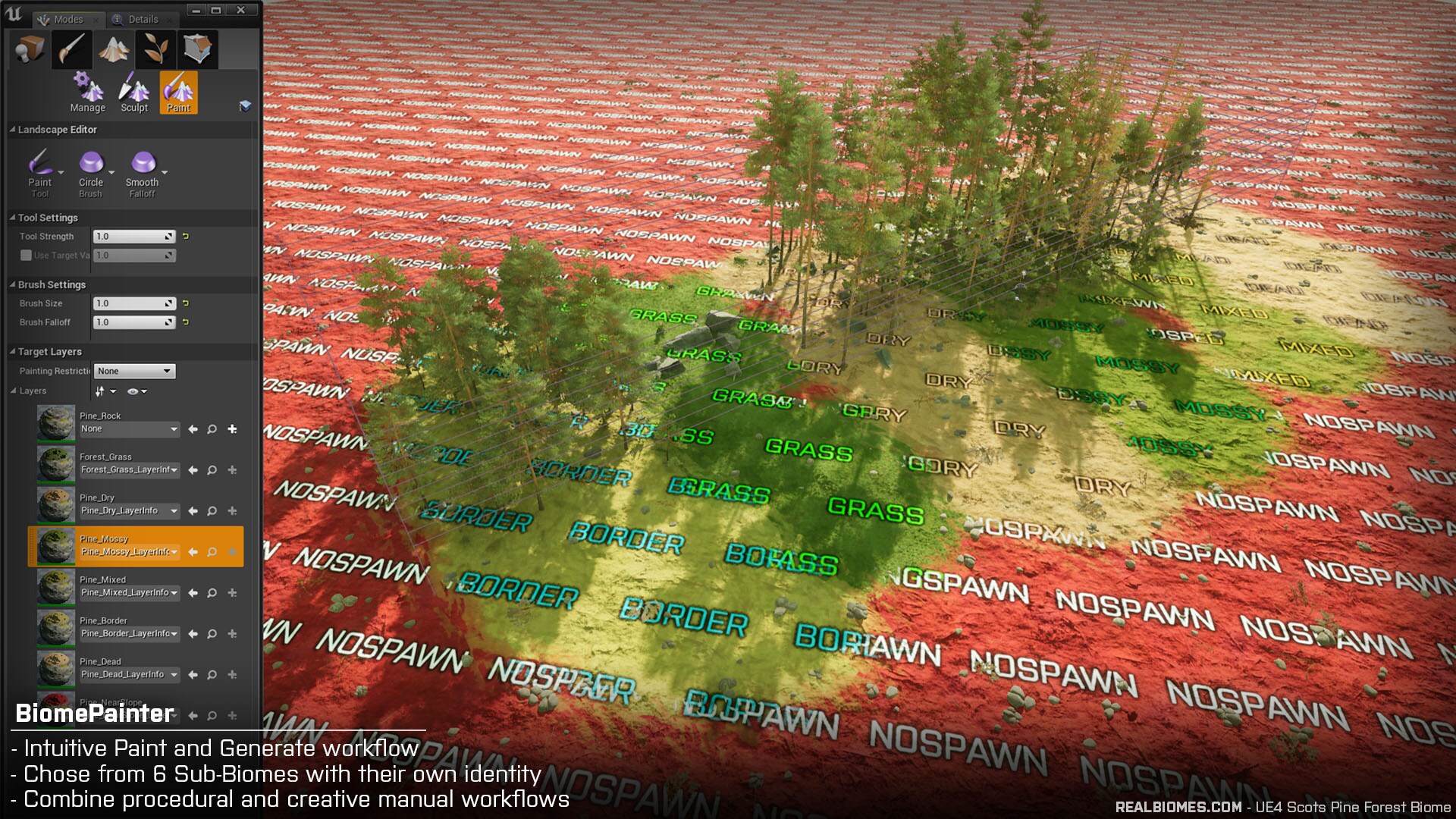 RB - Scots Pine Forest Biome - Trees, Landscape, Pine Forest, Grass in ...
