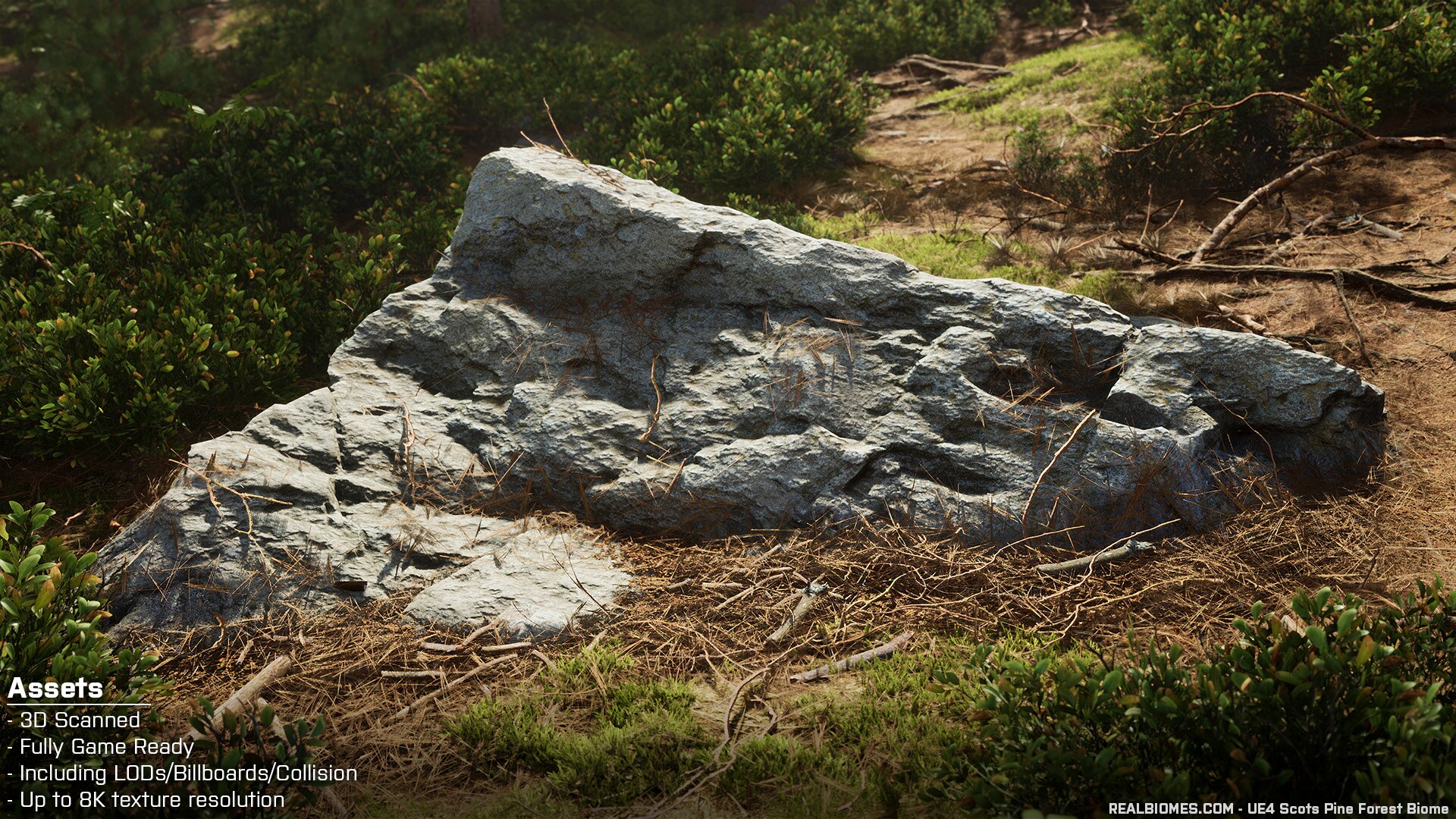 RB - Scots Pine Forest Biome - Trees, Landscape, Pine Forest, Grass in ...