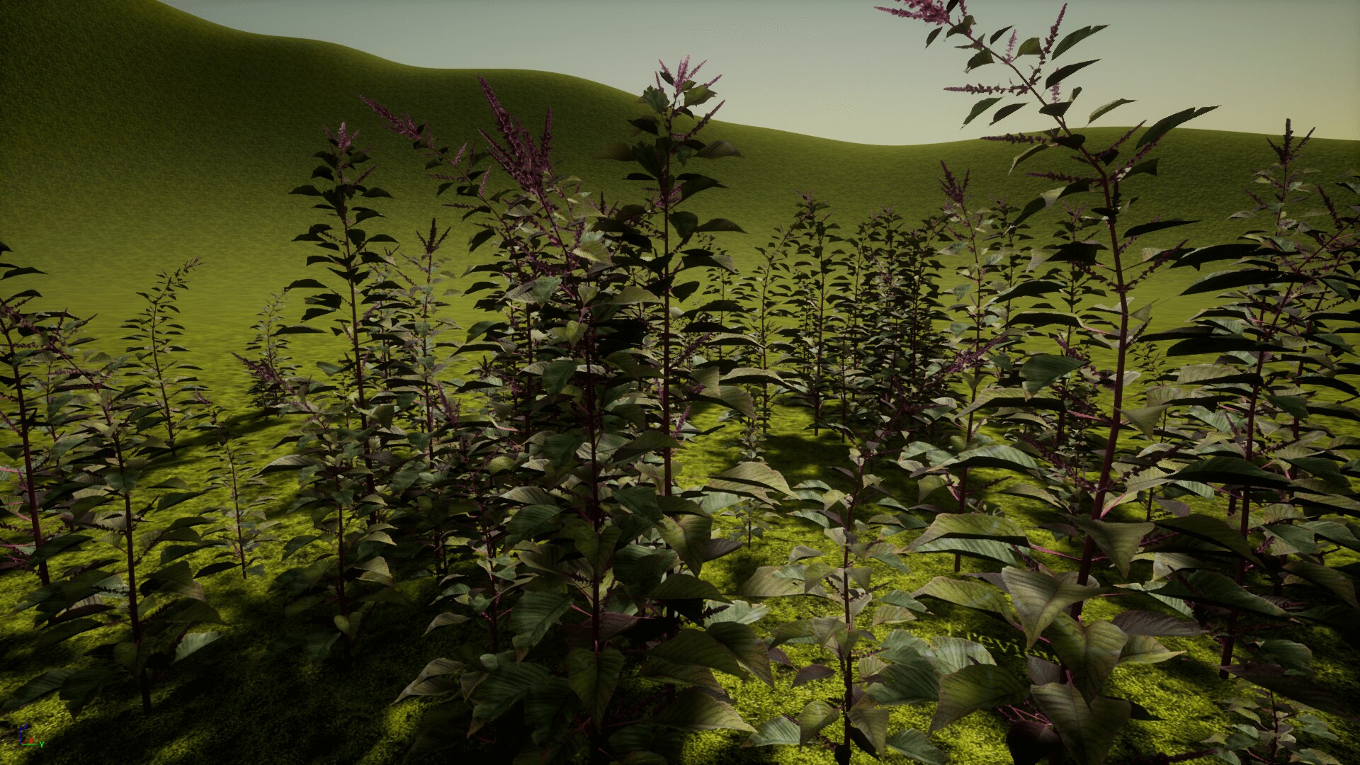 Basic Foliage Pack in Environments - UE Marketplace