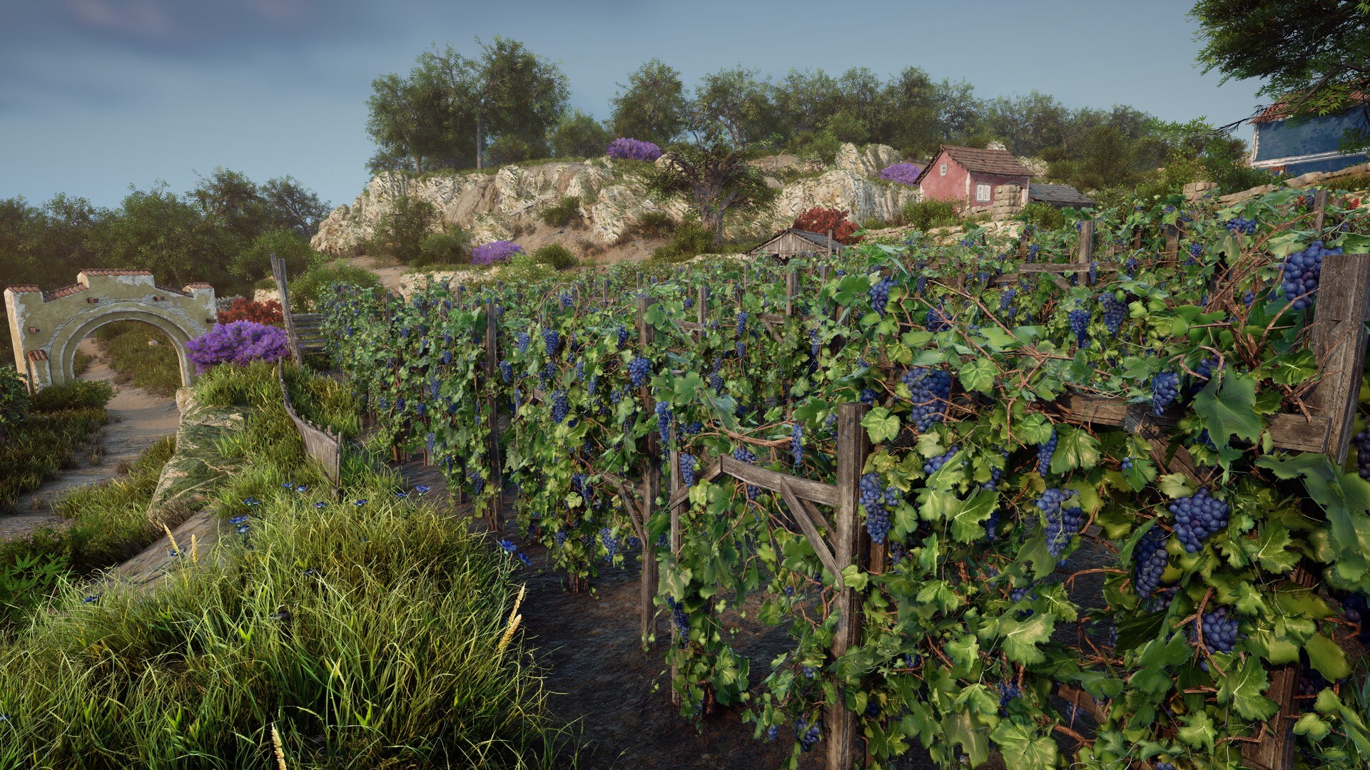 Vineyard in Environments - UE Marketplace