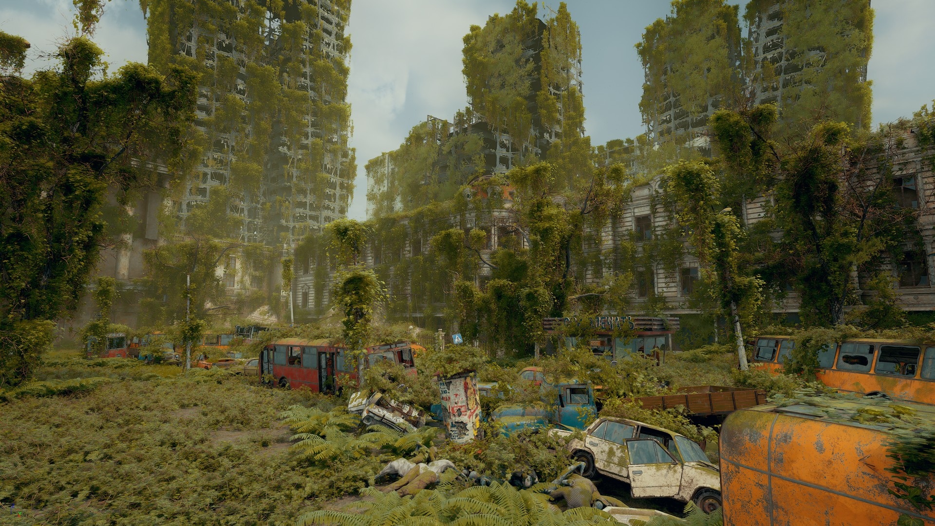 Post Apocalypse Forest Wallpaper