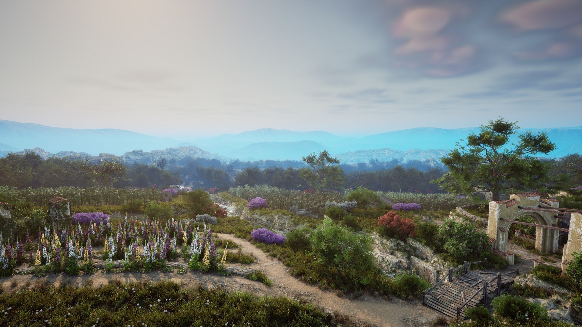 Vineyard in Environments - UE Marketplace