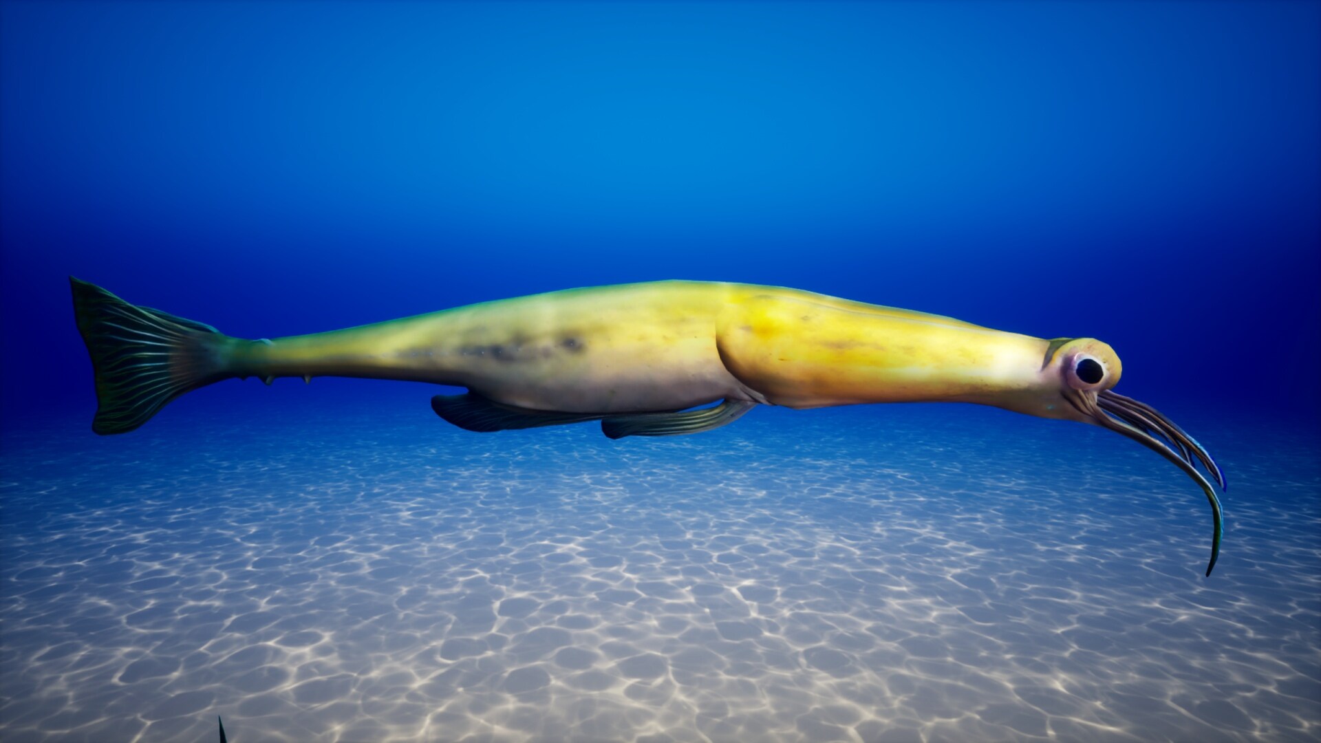 Alien Fish for School System - Scifi Fantasy Creatures：キャラクター - UE ...