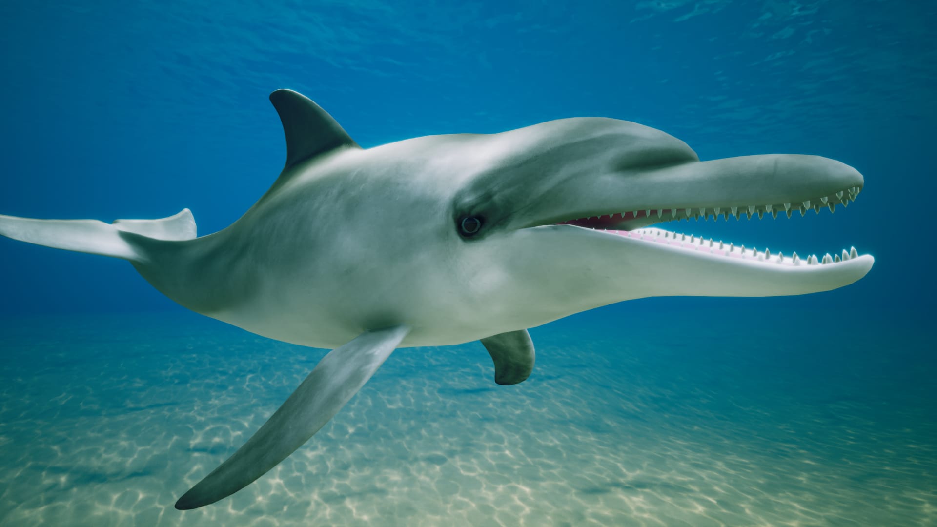 Dolphin in Characters - UE Marketplace