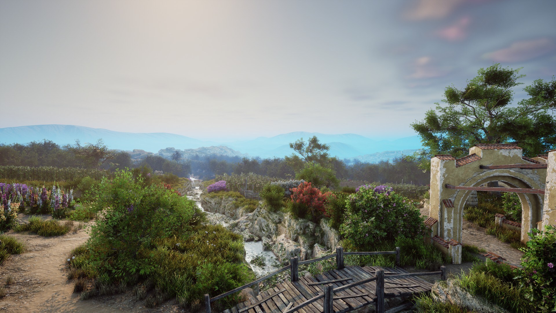 Vineyard in Environments - UE Marketplace