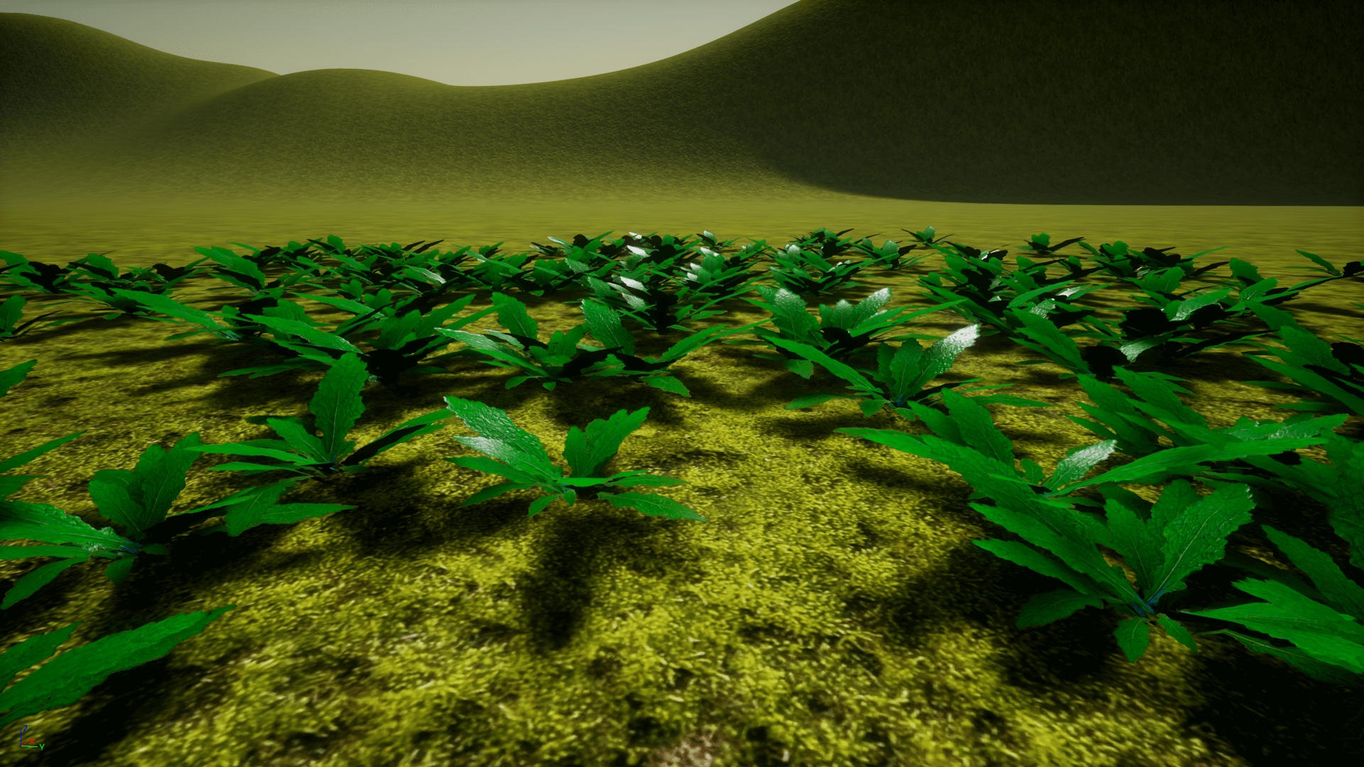 Basic Foliage Pack In Environments UE Marketplace basic-foliage-pack-in-environments-ue-marketplace