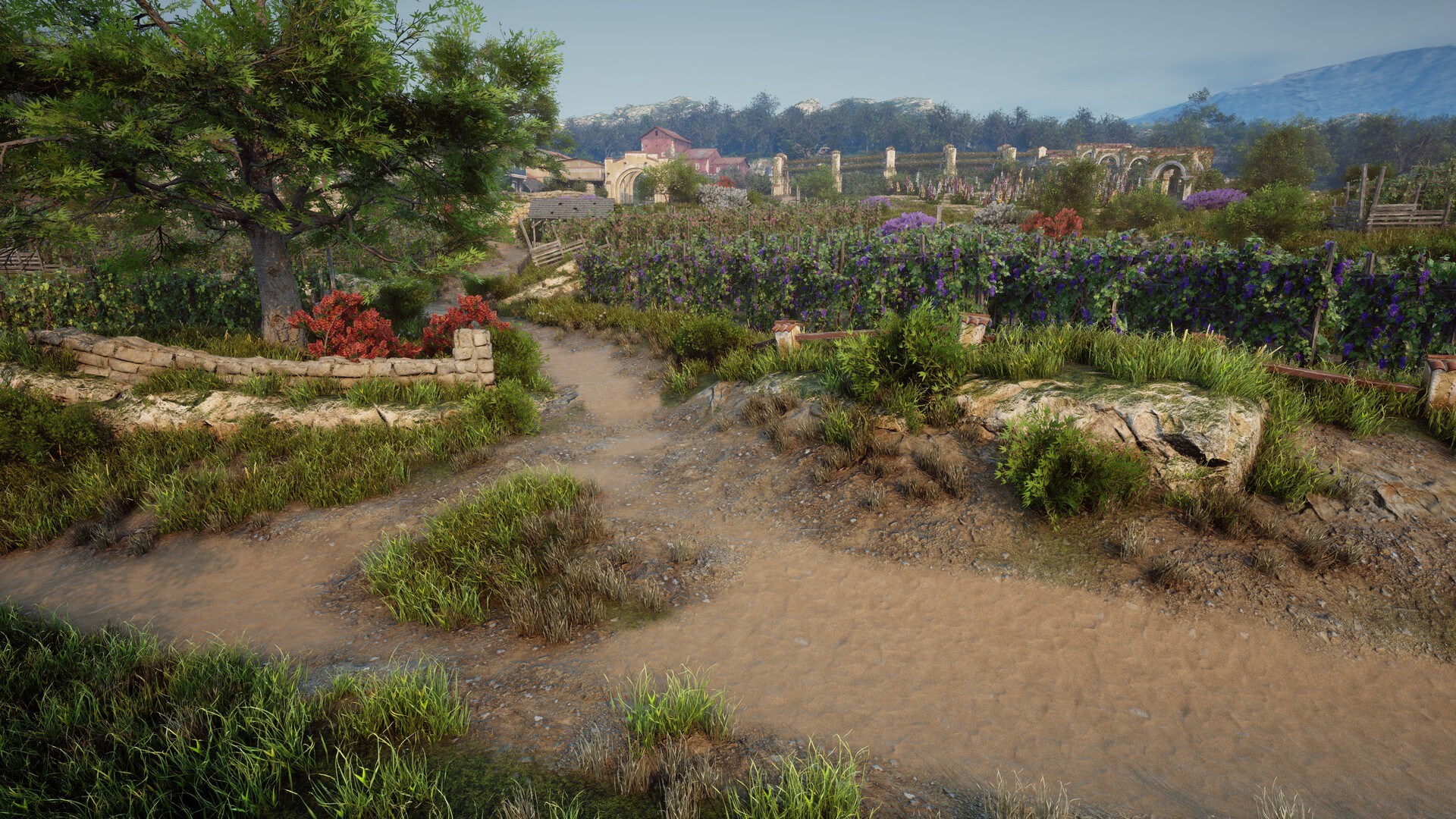 Vineyard in Environments - UE Marketplace