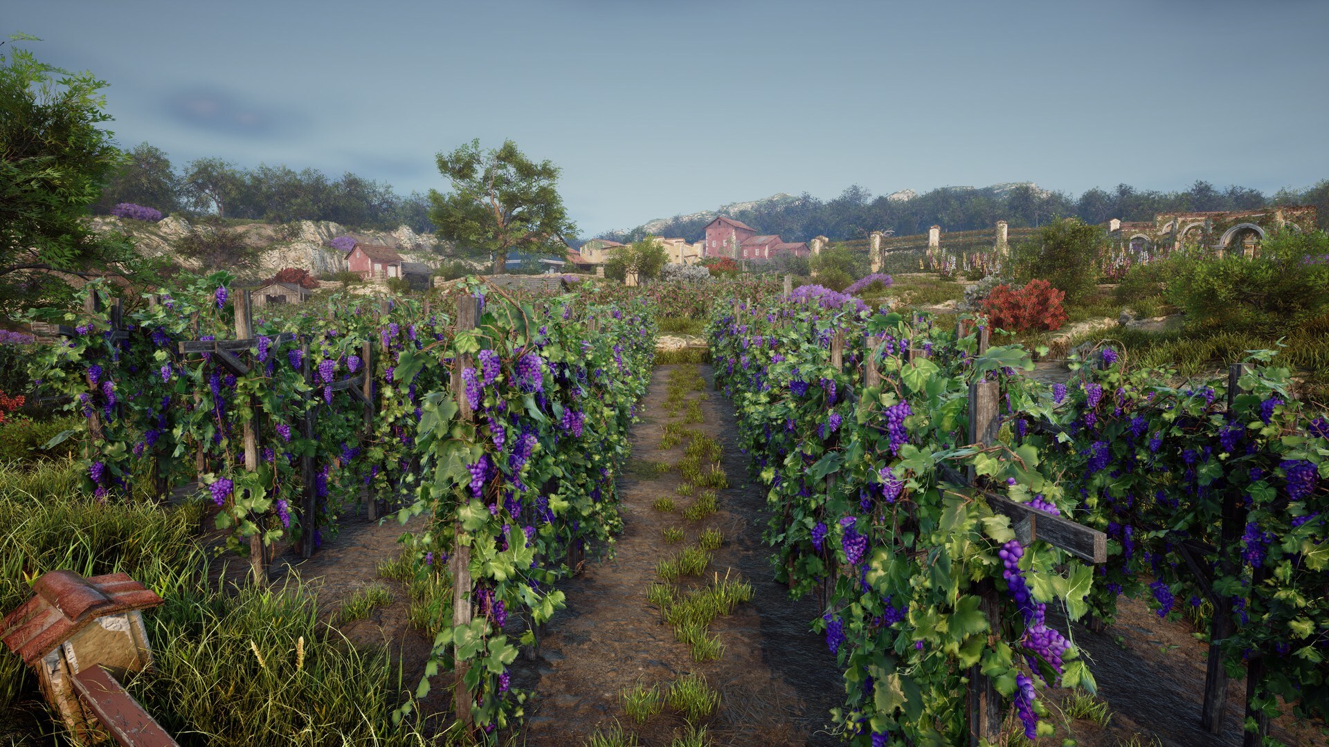 Vineyard in Environments - UE Marketplace