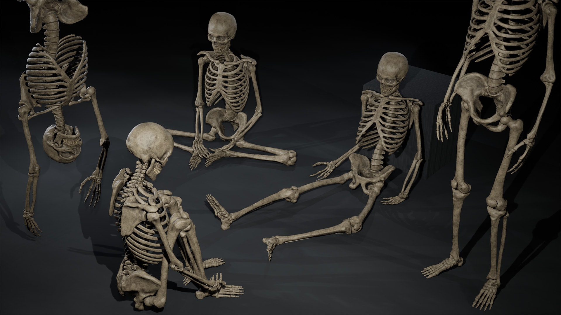 Skeleton Bones - Unreal Engine Asset Skeleton Bones - Unreal Engine Asset