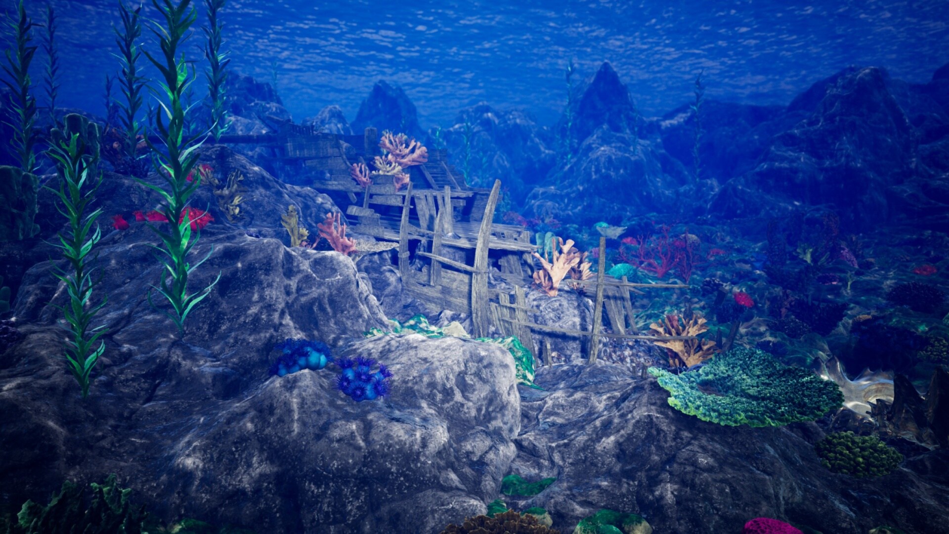 Ocean Environment Pack 2 - Coral Reef, 카테고리 배경 - UE 마켓플레이스