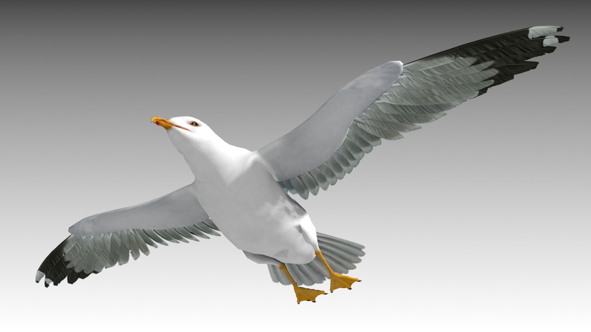 Seagull in Characters - UE Marketplace