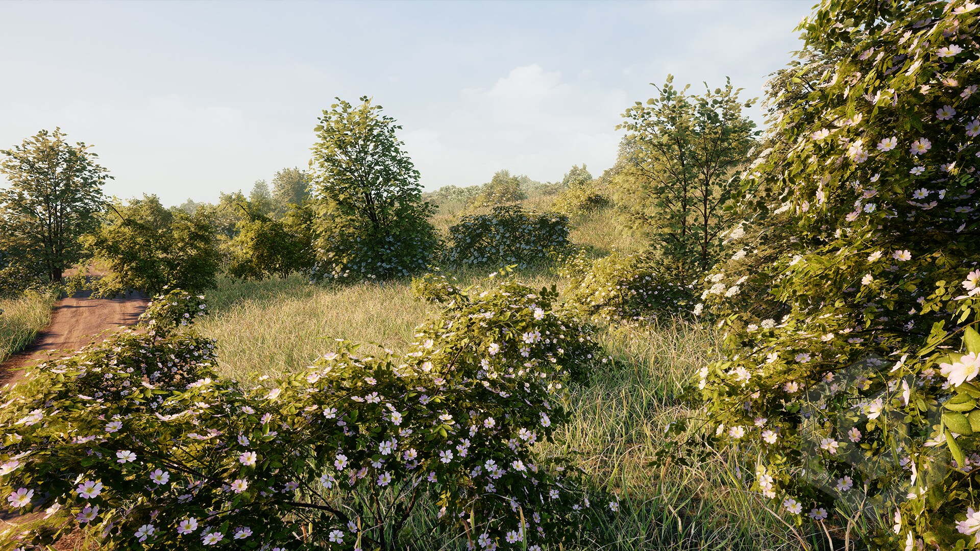 Shrub Pack – ASSET CLOUD