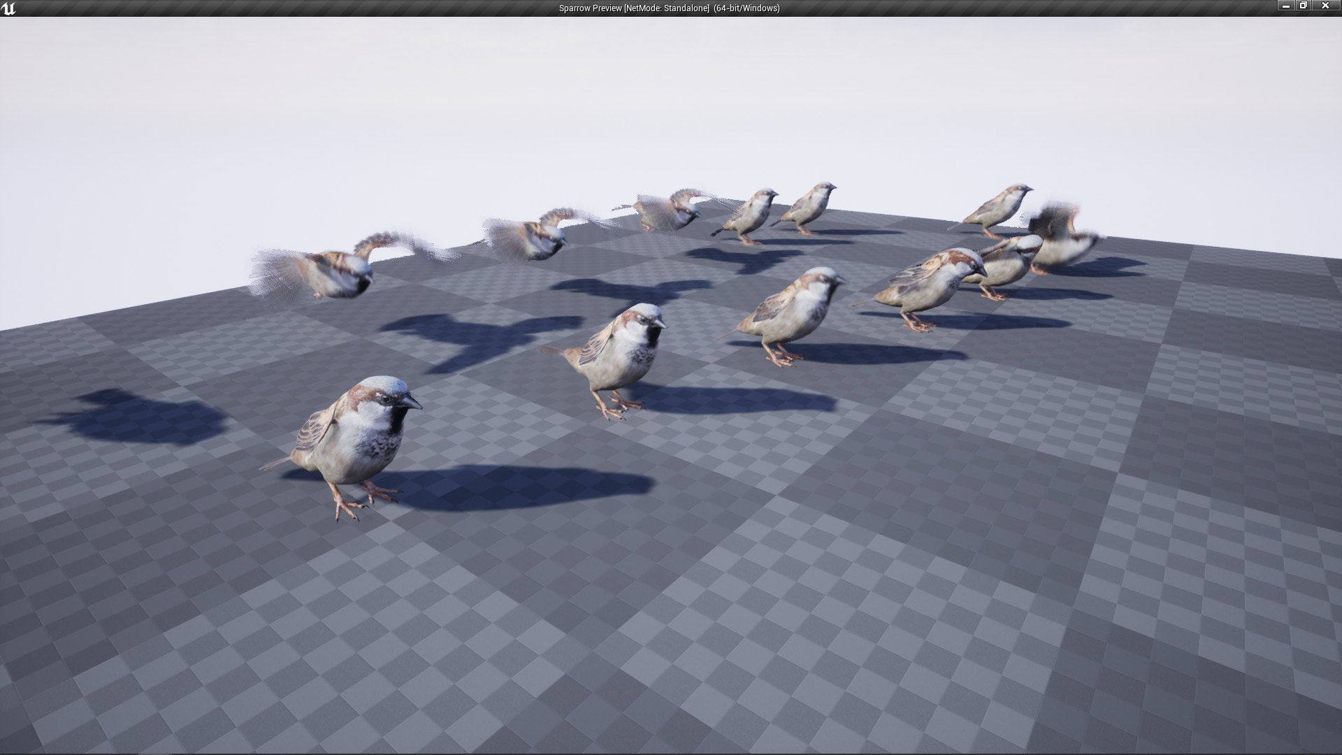 Sparrow in Characters - UE Marketplace