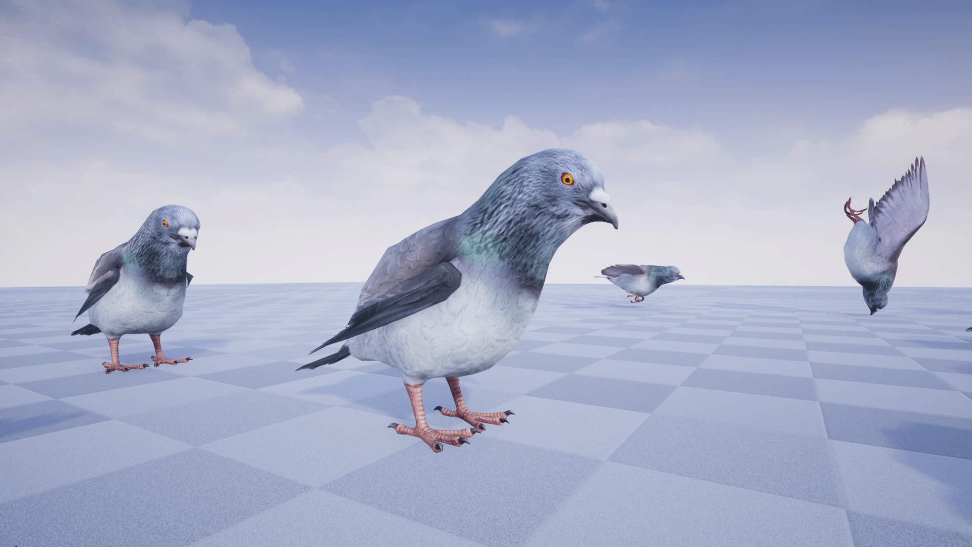 在角色创建的PIGEON - 虚幻引擎商城