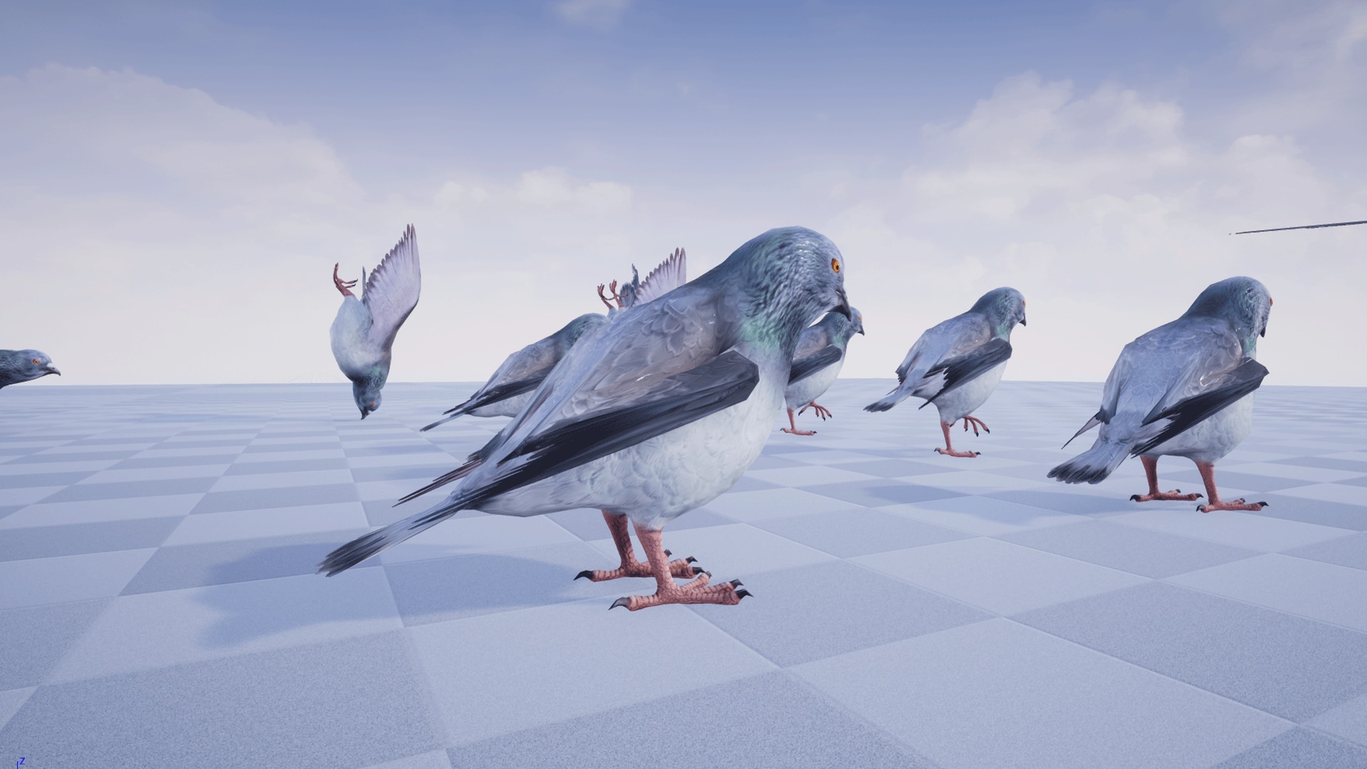 在角色创建的PIGEON - 虚幻引擎商城