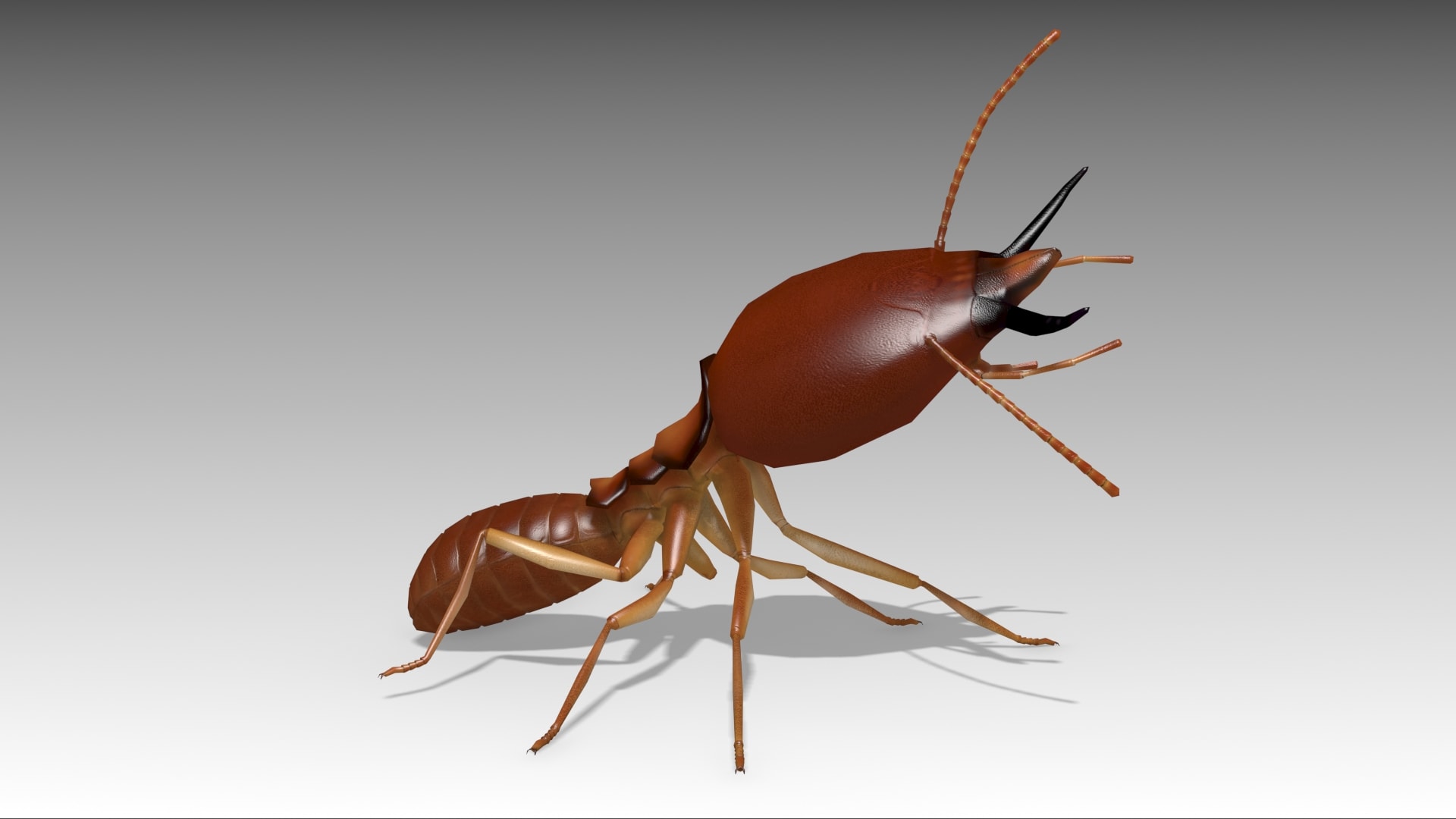 Termite in Characters - UE Marketplace