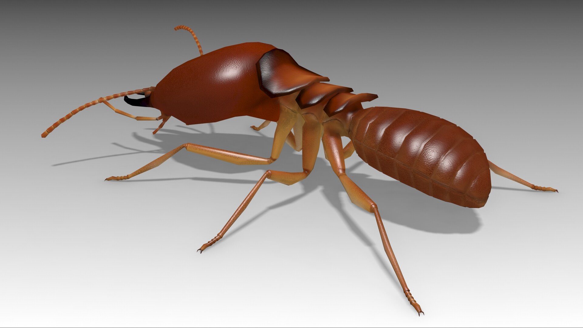 Termite in Characters - UE Marketplace