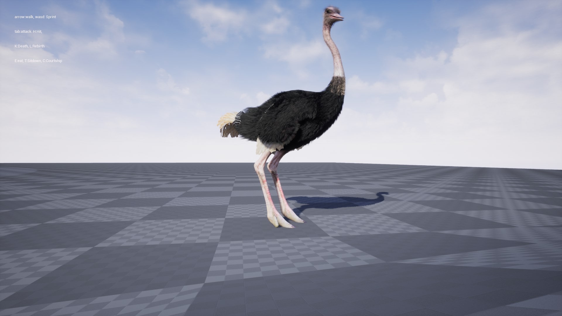 Ostrich in Characters - UE Marketplace