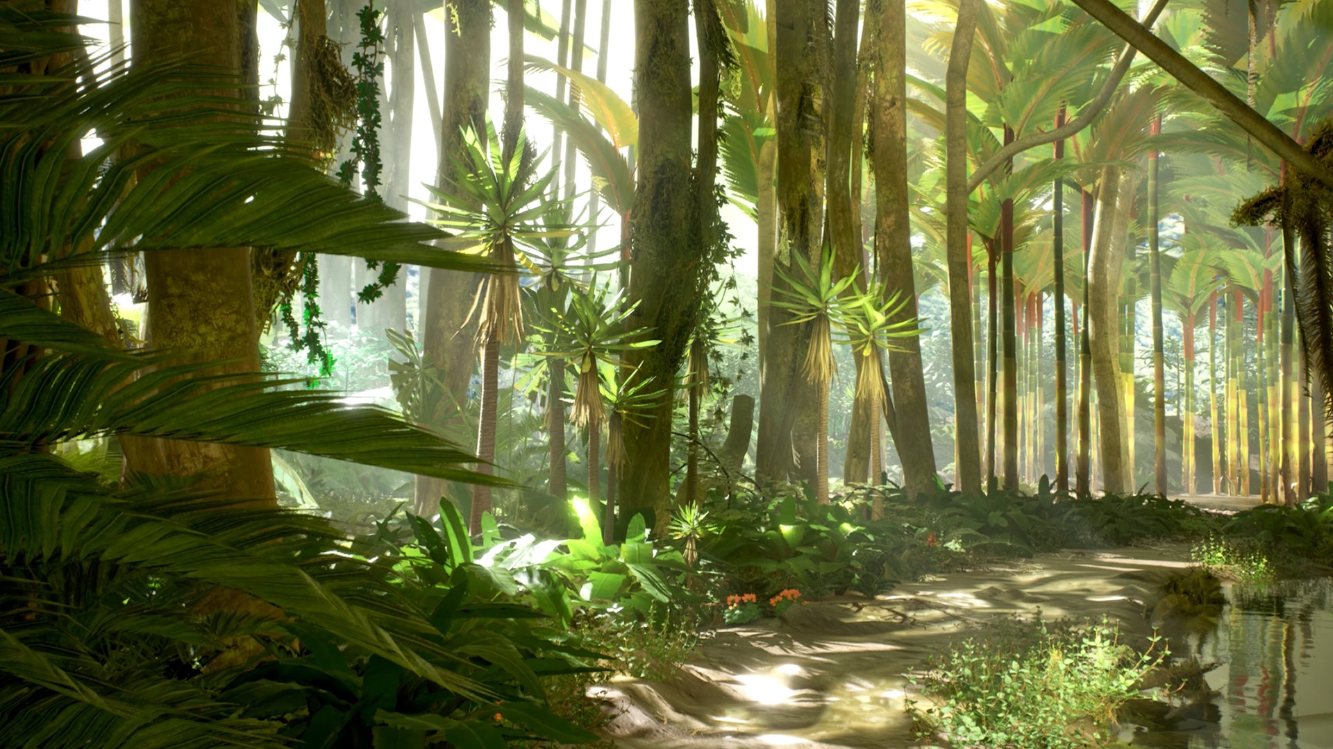 World JungleRust Bundle