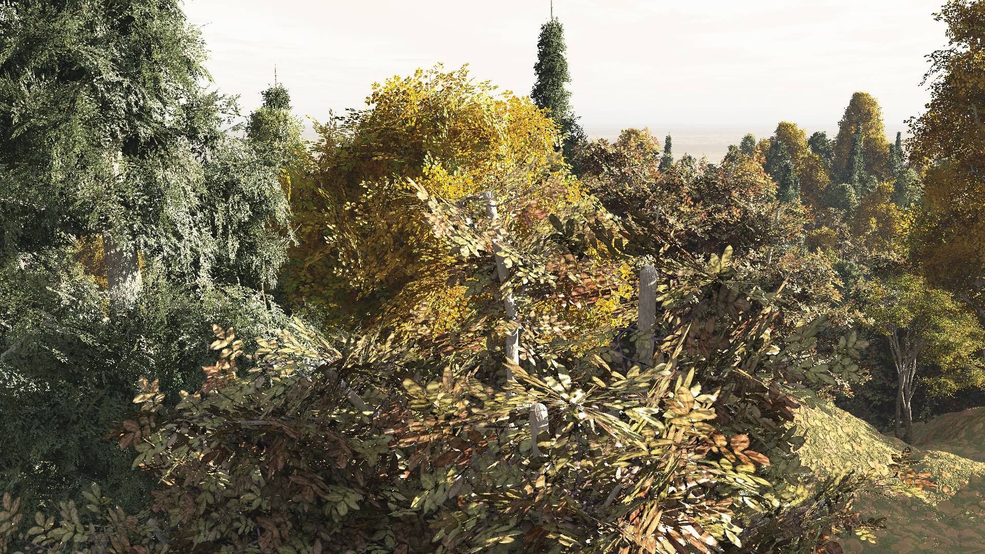 High Simulation Natural Plant Model Resource Package in Environments ...