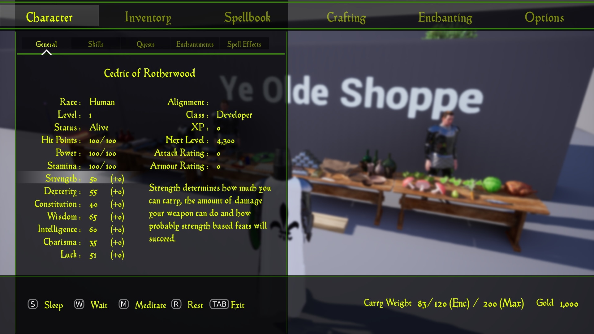 Moore's RPG Template in Blueprints - UE Marketplace