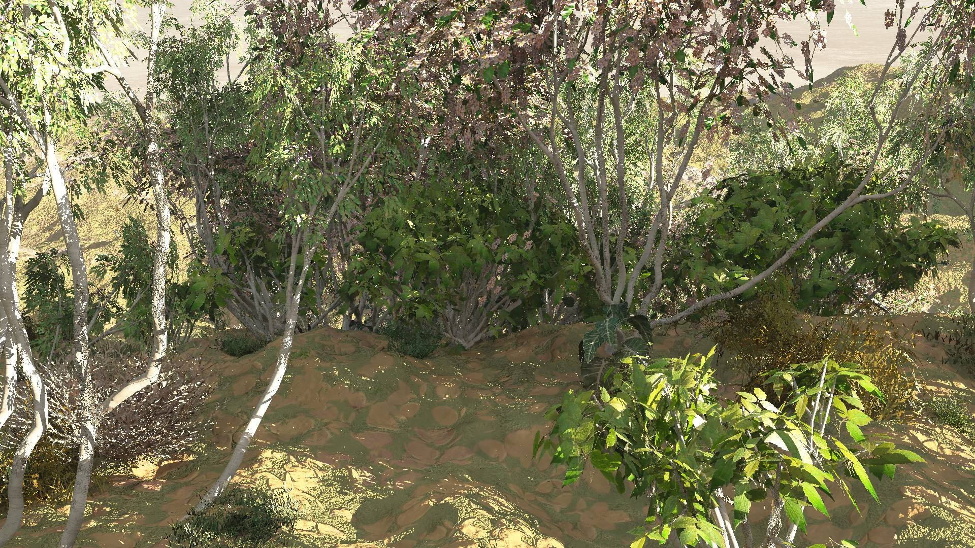 High Simulation Natural Plant Model Resource Package in Environments ...