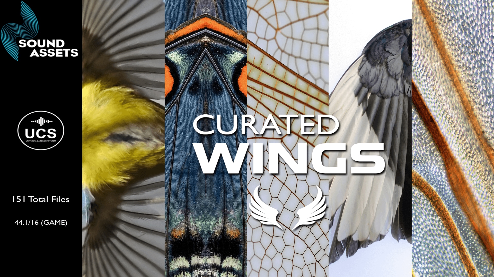 CURATED WINGS in Sound Effects - UE Marketplace